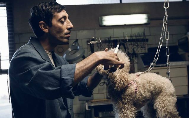 Dogman Película | Cinéfagos